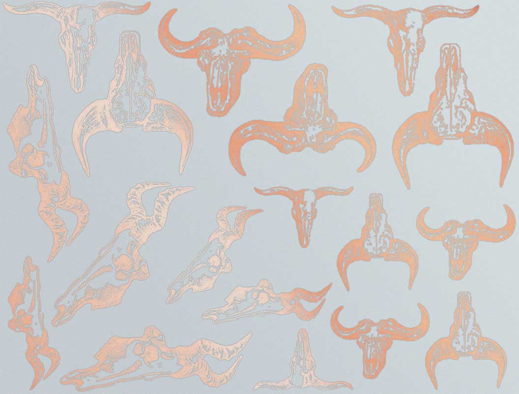 Bull Skull Decals - Glassware - Enamel – Milestone Decal Art